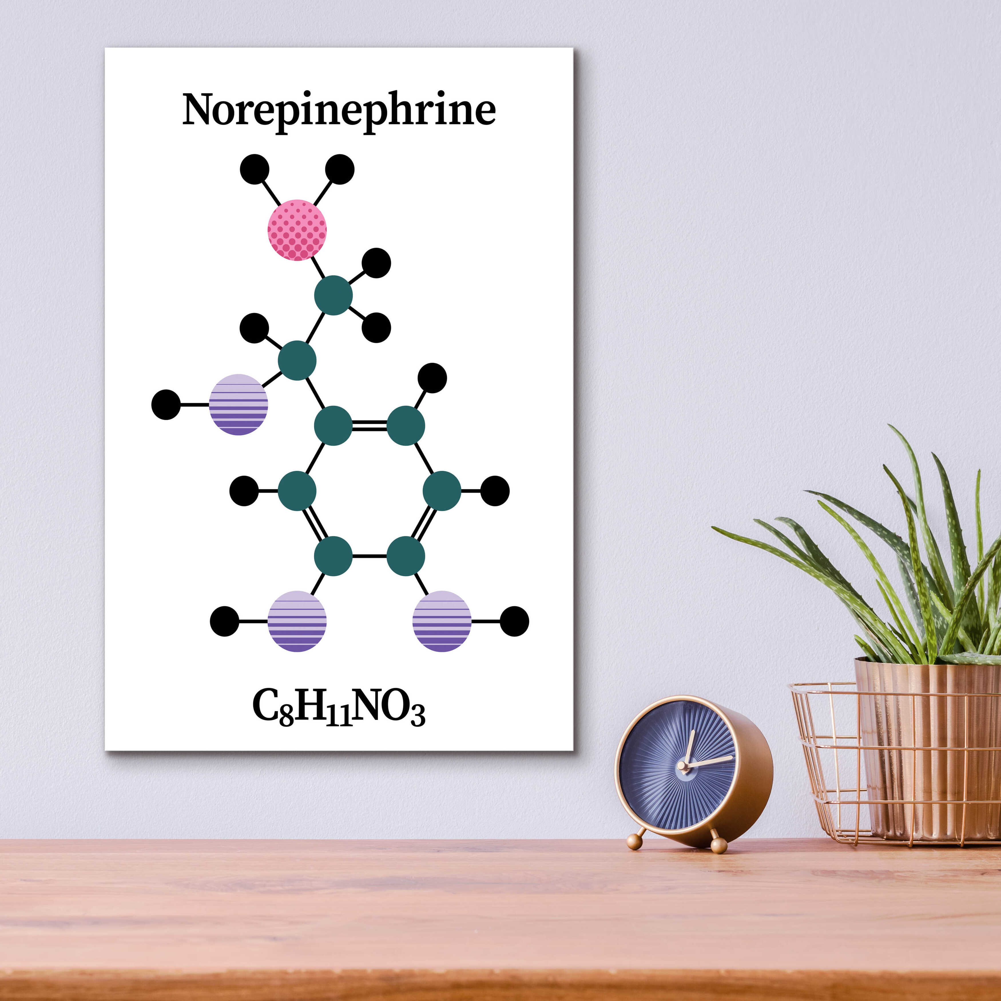 Trinx Norepinephrine Molecule by MaximUnframed Print | Wayfair